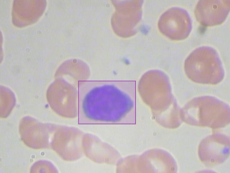 Deep Block - AI without coding.